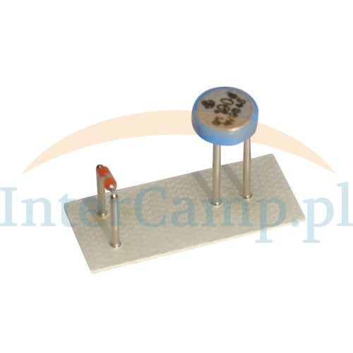 Termostat Trumatic C3402 C4002 C6003 płytka Trumatic | InterCamp